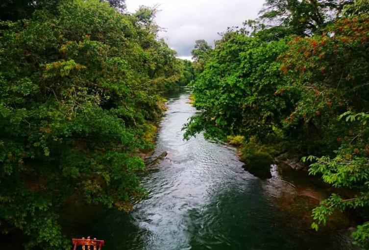 10 turistas fueron arrastrados por una creciente súbita | Alerta Paisa