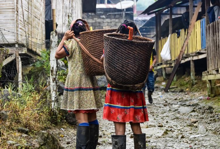 Gravedad de afectaciones en el Chocó a causa del paro armado | Alerta Paisa