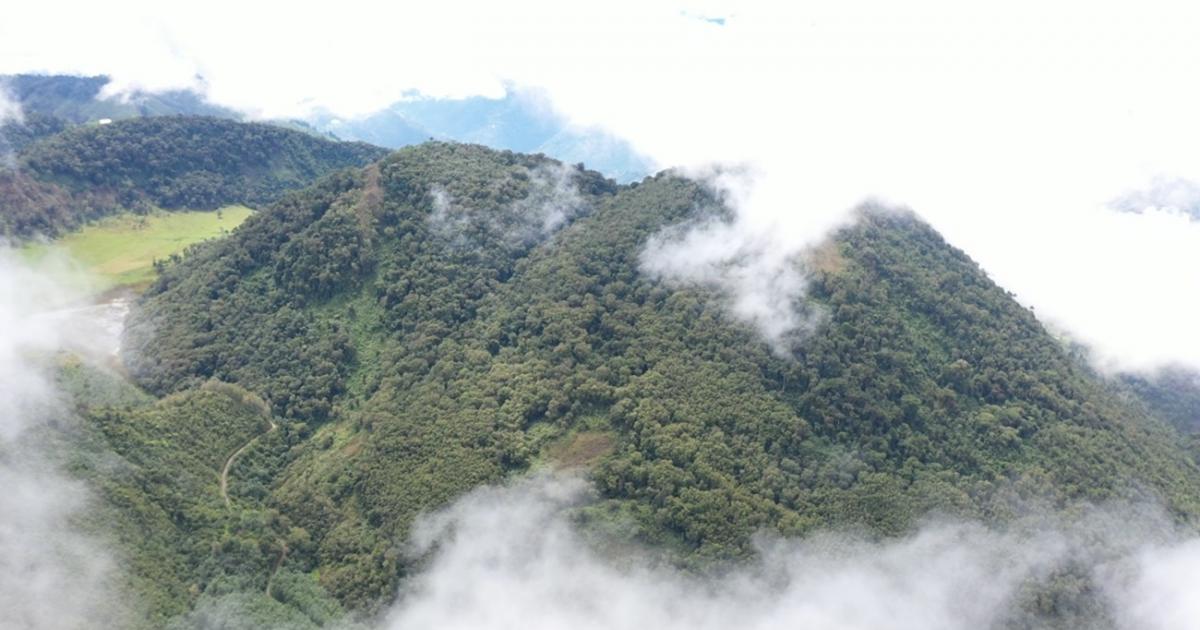 Monitorean el comportamiento del volcán Machín | Alerta Paisa