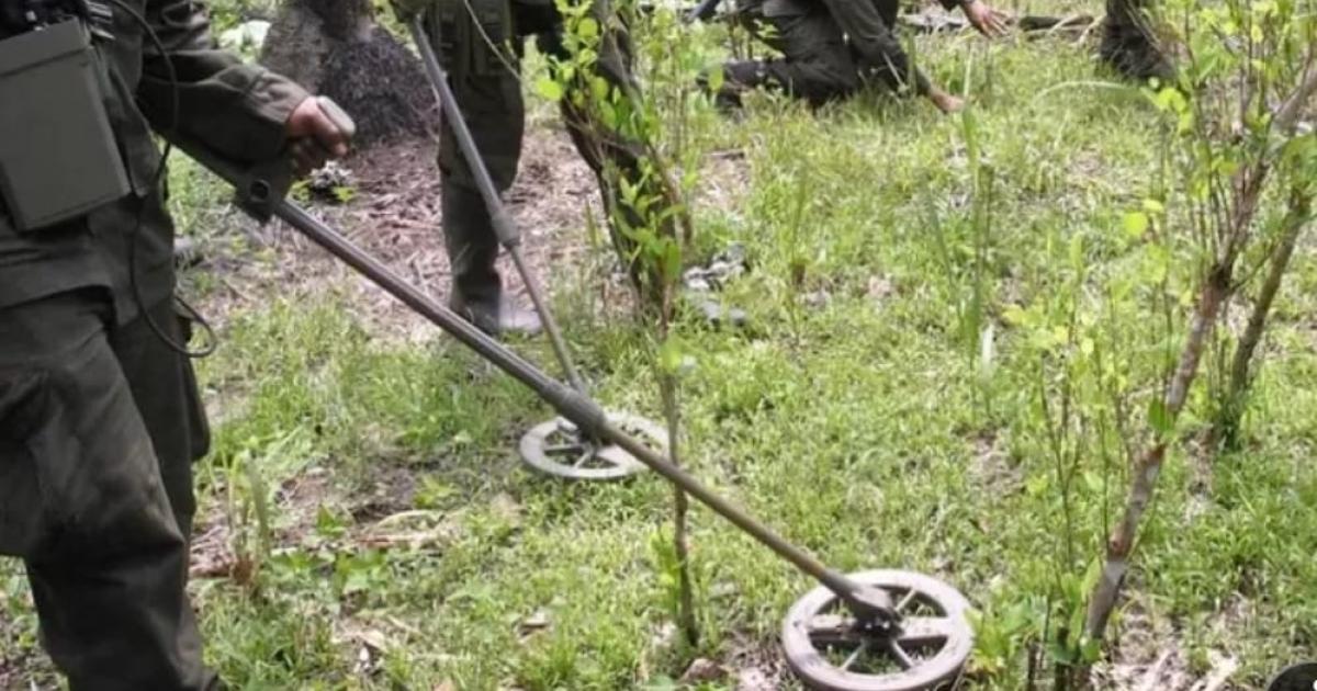 Indígena awa muere víctima de mina antipersonal en Tumaco, Nariño ...