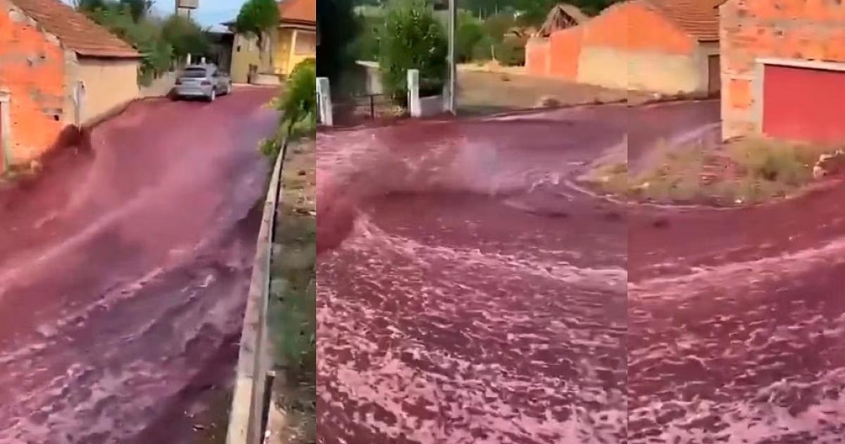 [Video] Un río de vino inundó las calles de una ciudad de Portugal ...