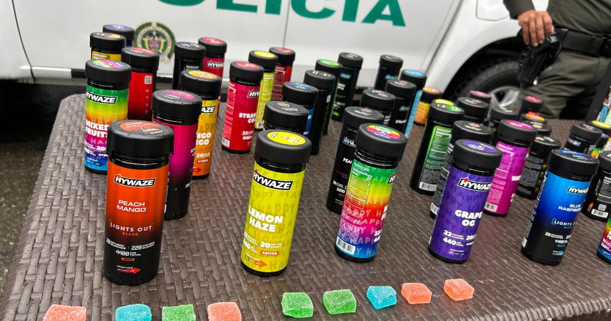 Incautan más de 40 mil gramos de marihuana y mil gomitas en operativos | Alerta Paisa