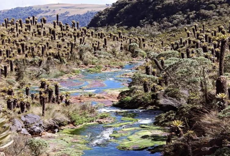 Noticia Tolima: Murillo es uno de los destinos más visitados | Alerta ...